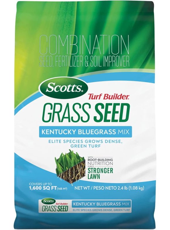 Kentucky Bluegrass Seed in Grass Seed & Sod - Walmart.com