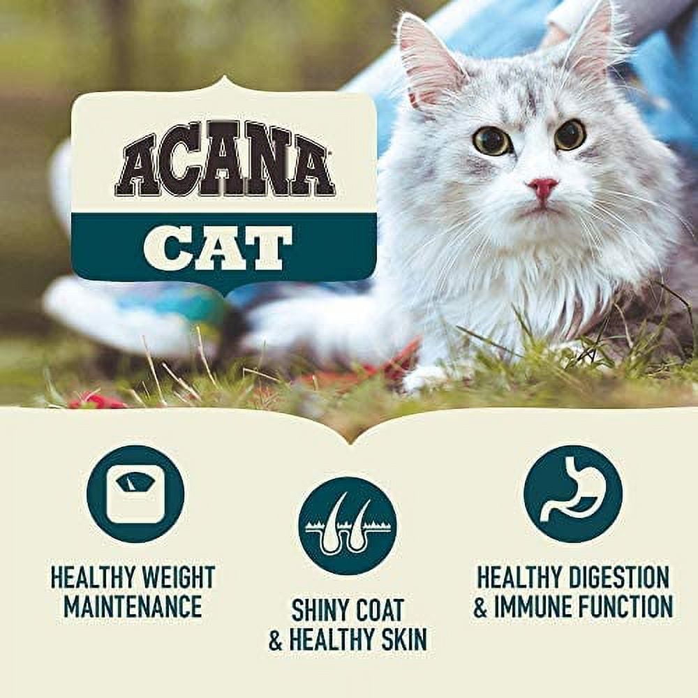 High Protein Real Meat Premium Dry Cat Food in Nepal at NPR 6657, Rating: 5