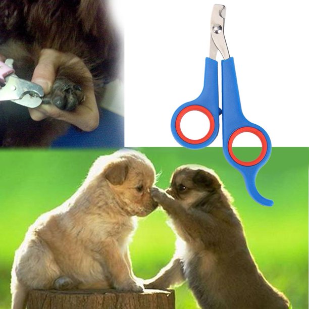 Peggybuy Stainless Steel Pet Nail Toe Scissors Dog Cat Claw Grooming ...