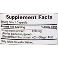 Puritan's Pride Pomegranate Extract 250mg, 120 Count Fruit Capsules ...