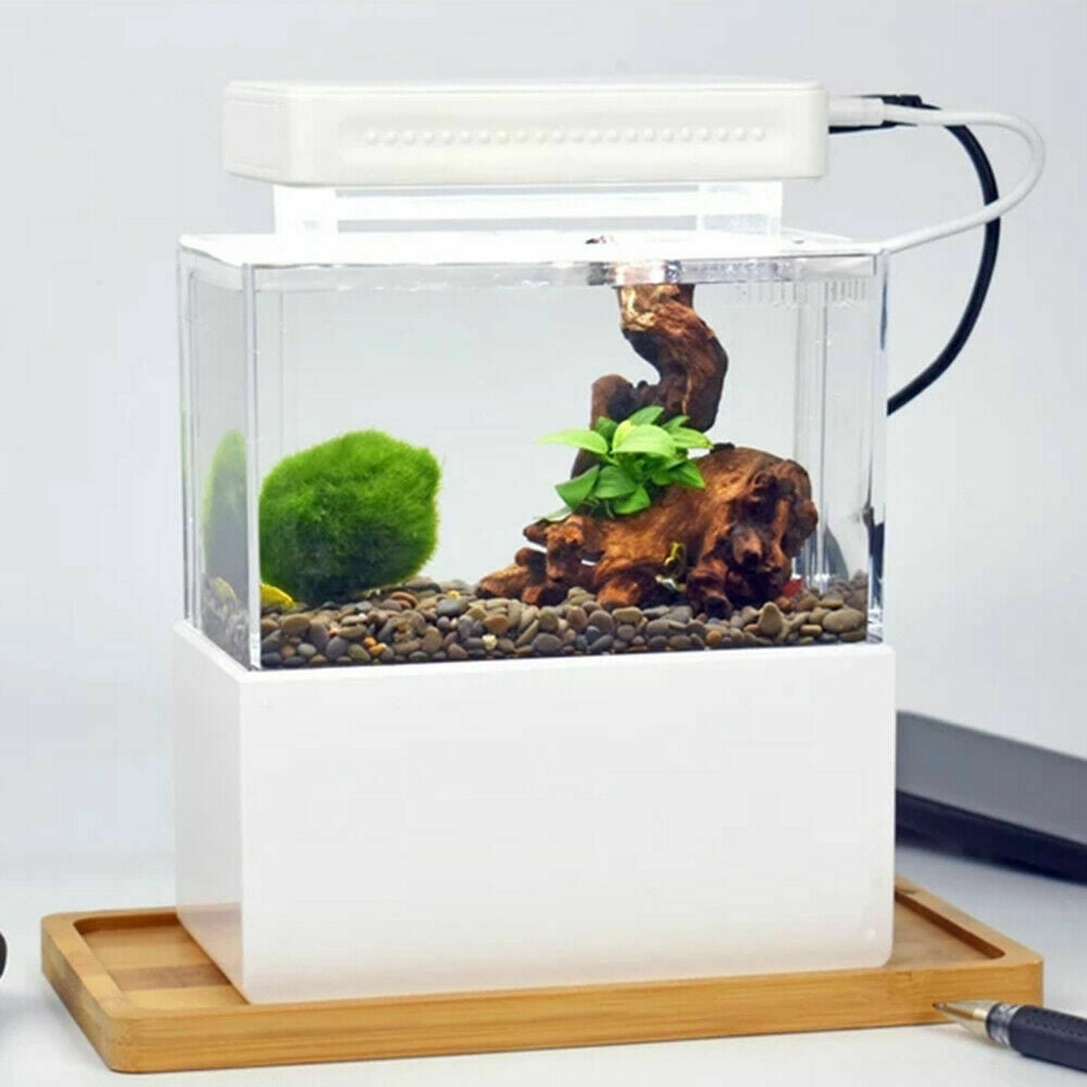Fish Tanks For Sale At Walmart