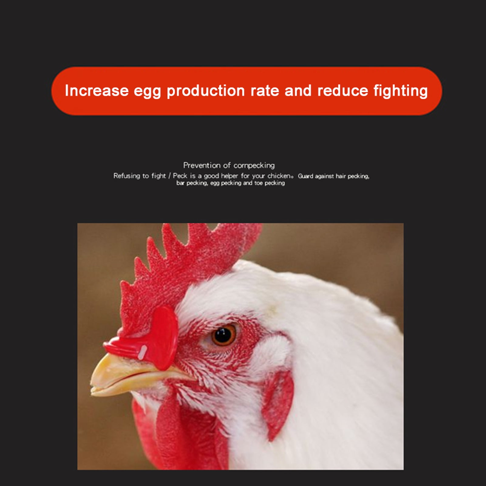 Taosheng Chicken Anti-pecking Goggles Plastic Chicken Glasses Chicken ...