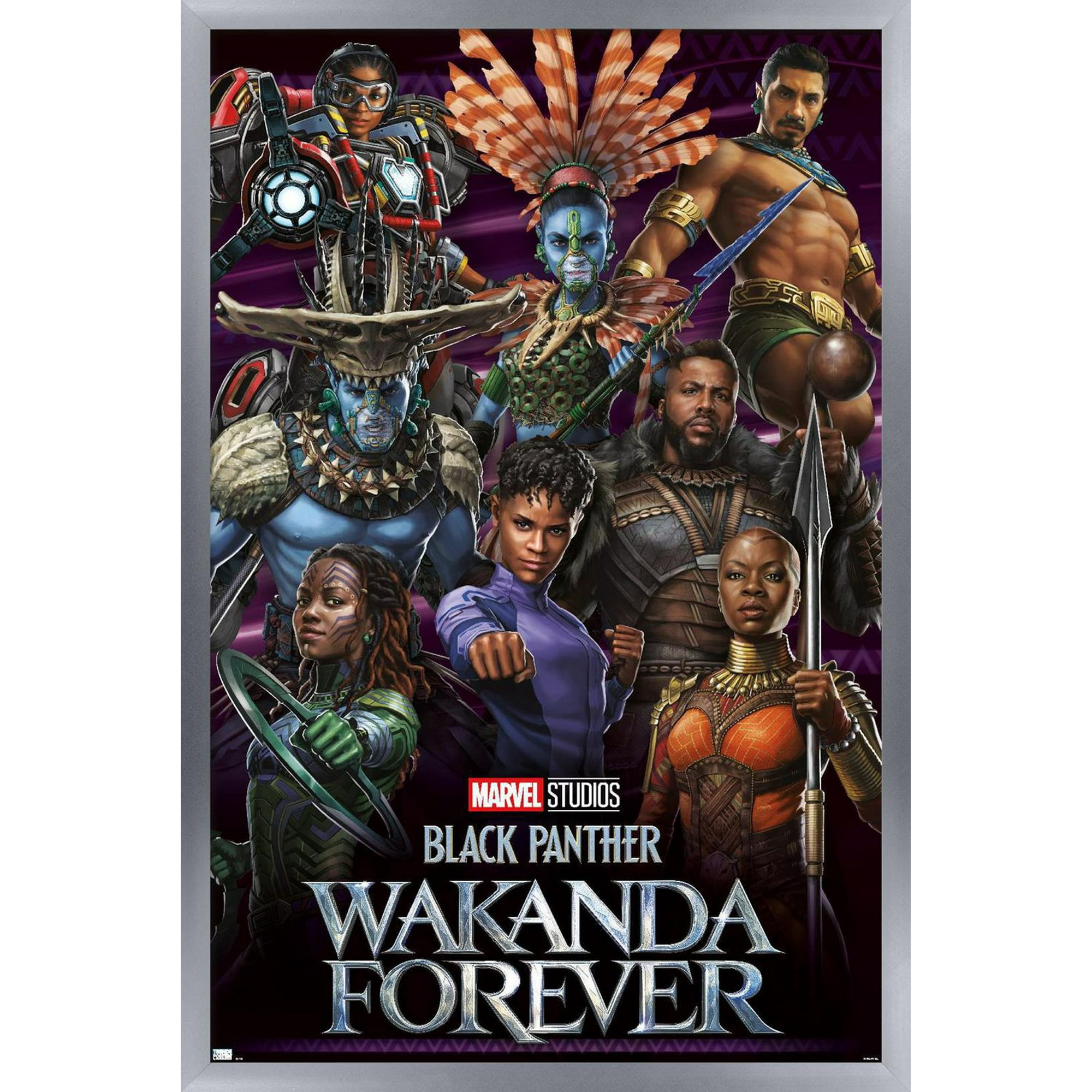 Click here for Trends International Marvel Black Panther: Wakanda... prices