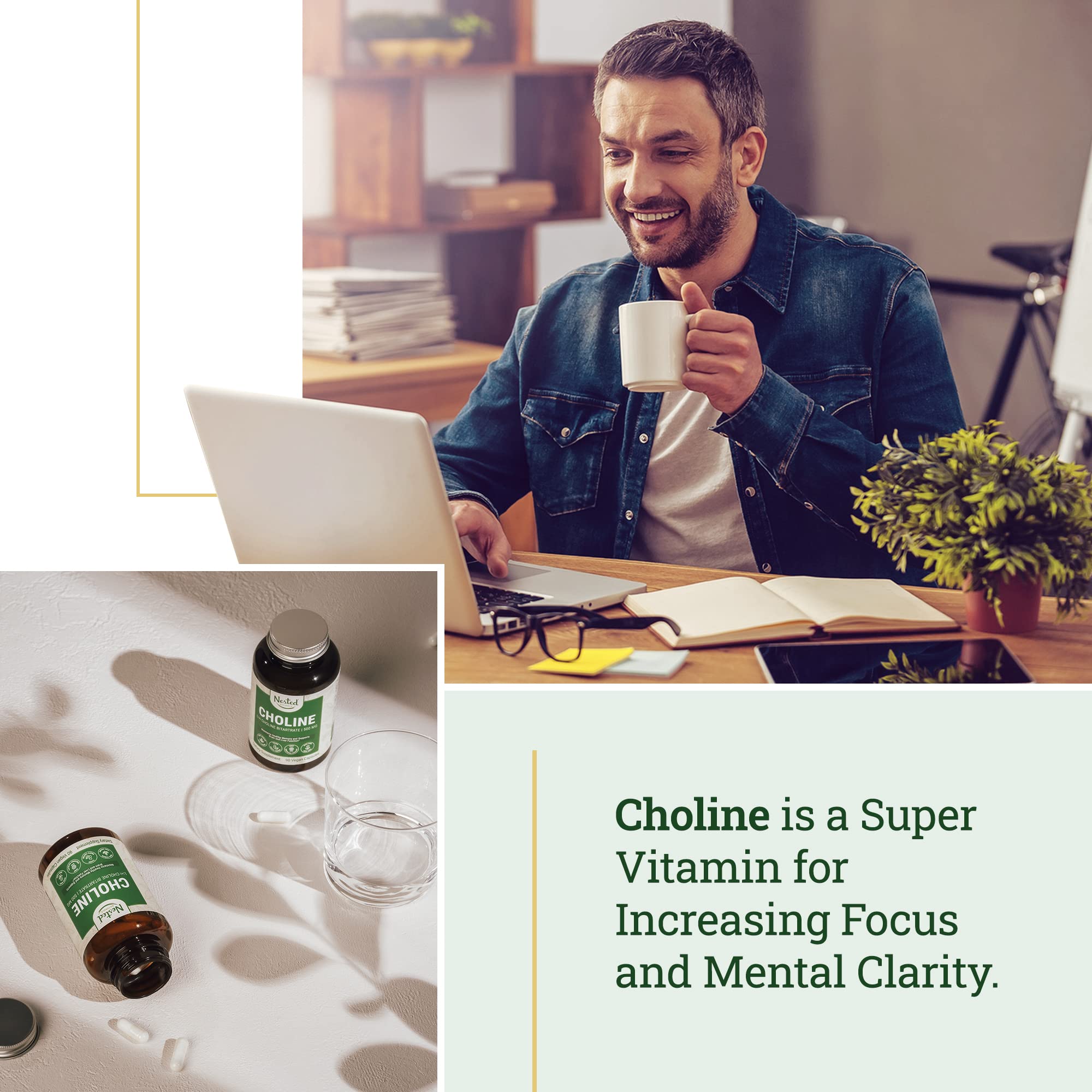 Buy Nested Naturals Choline Bitartrate 500 Mg Online at Lowest Price in Ubuy Nepal. 551108297