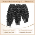 Burmese Curly Human Hair 3 count 14 16 18 Inch Curly Human Hair with ...