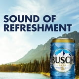 Busch American Lager Beer 30 pack 12 fl oz Aluminum Cans 4.3% ABV ...
