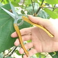 2 Pcs Tree Tools Garden Pruning Shears Gardening Scissors 19.1x4.5cm ...