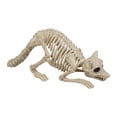 Seasons 21 in Racoon Skeleton Plastic Halloween Decoration - Off-White ...