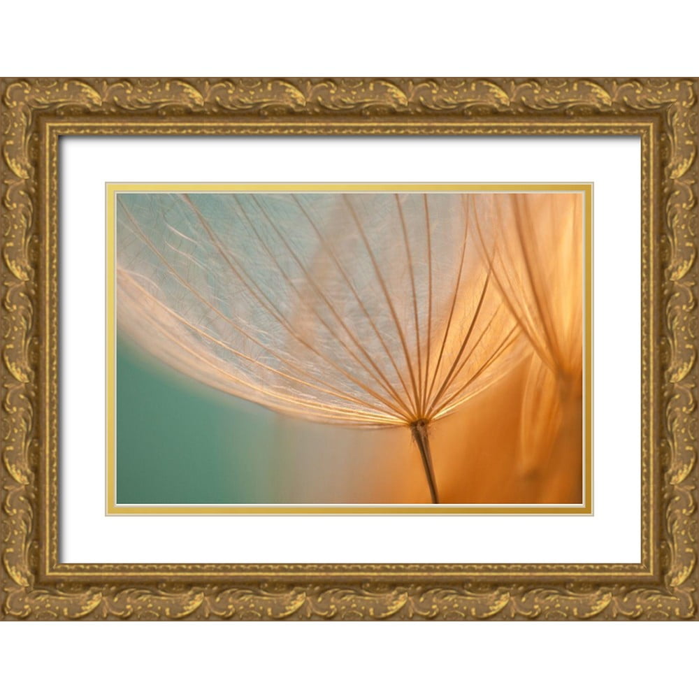 Von Knobloch, Karen 32x23 Gold Ornate Wood Framed with Double Matting ...