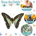 Improve Safety and Beautifys Home Offices with Bird Safe Window Decals ...