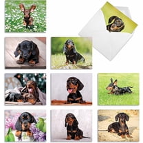 Dirty Dogs - 20 Puppy All Occasion Blank Cards with Envelopes (4 x 5.12 ...