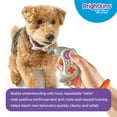 Brightkins Smarty Pooch Dog Clickers for Training Puppy and Dog ...