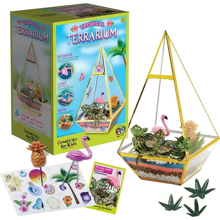 Tropical Terrarium Craft Kit - Kids Terrarium Kit for Ages 7+, STEAM ...
