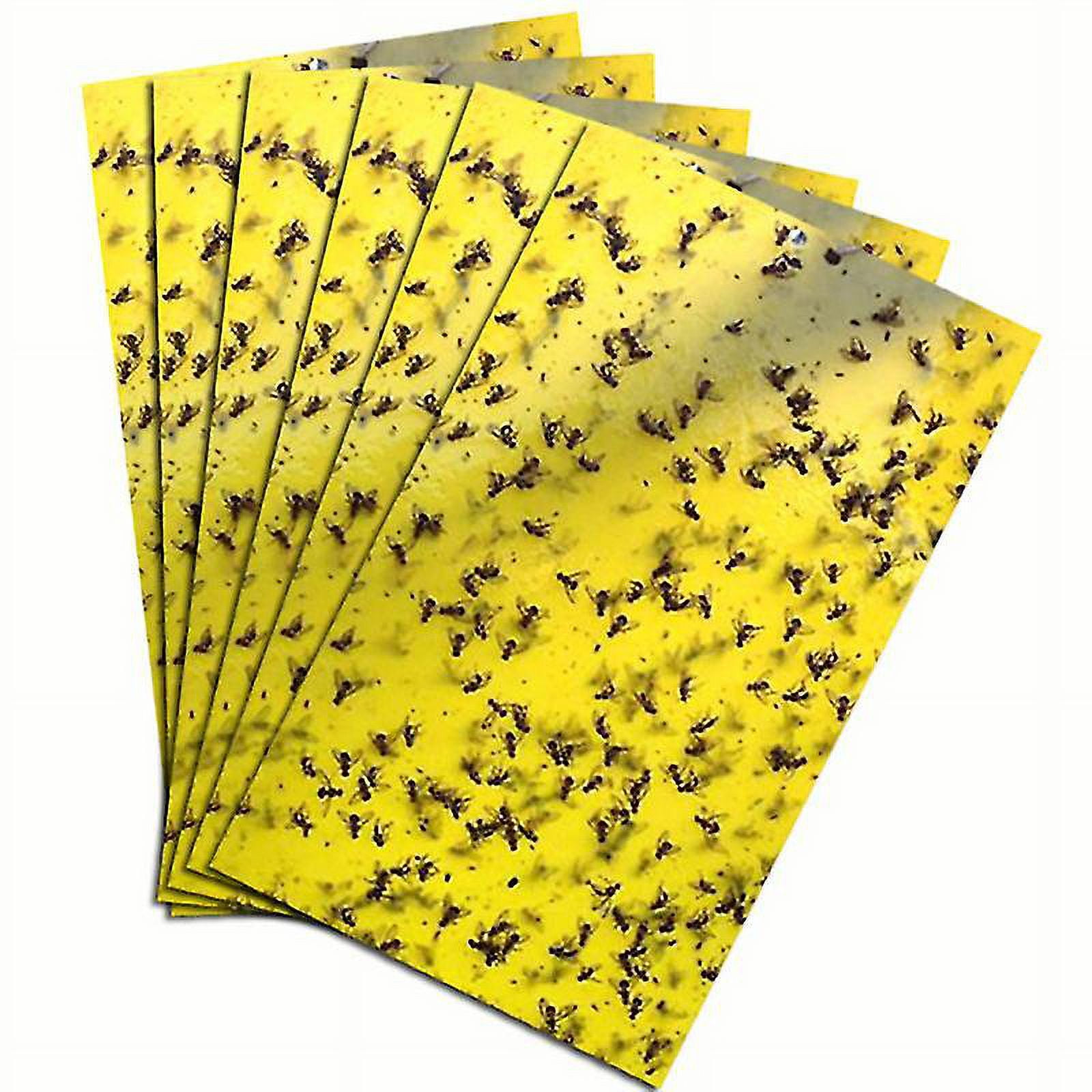50 Trampas para insectos YONGSHENG Papel Adhesivo Doble Cara Amarillo ...