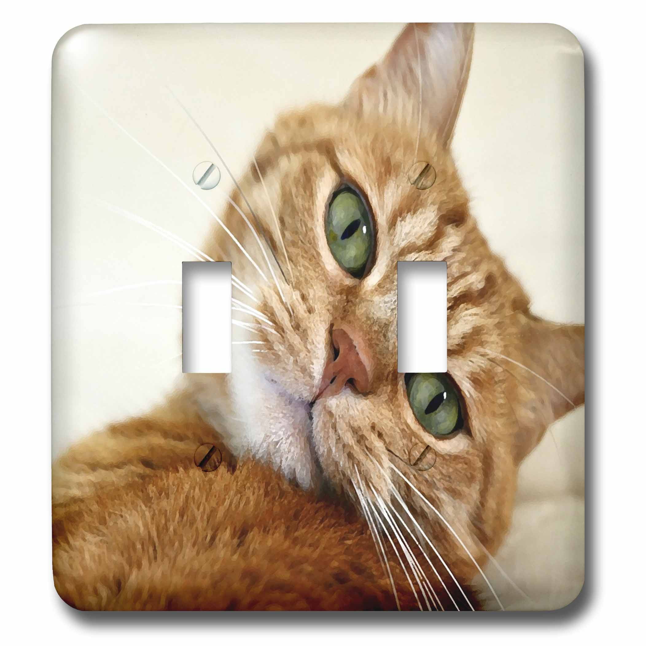 Print of orange Tabby Cat Painting double toggle switch lsp-203883-2 ...
