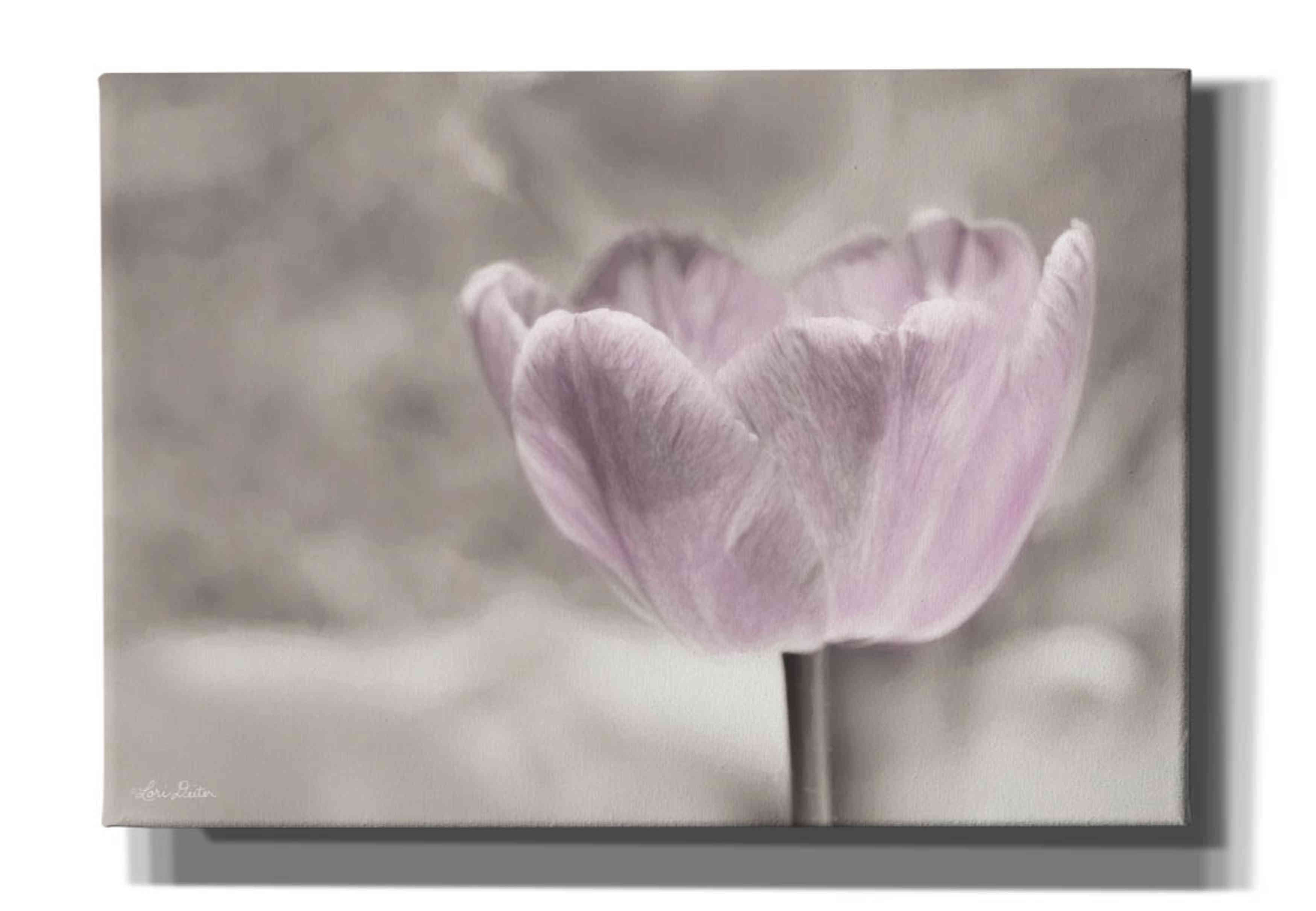 Epic Graffiti 'Violet Tulip' by Lori Deiter, Canvas Wall Art, 26"x18 ...