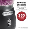 Hamilton Beach Food Chopper, 2 Speed, 3 Cup Capacity, BPA-Free ...