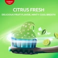 Colgate, Max Fresh Fruity Toothpaste, 4.8 Ounce, Pack of 4 - Walmart.com
