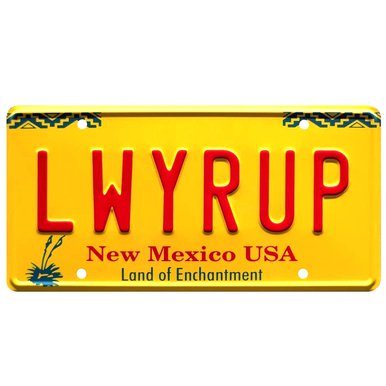 Breaking Bad Saul Goodman's 1997 Cadillac DeVille LWYRUP Metal Stamped ...