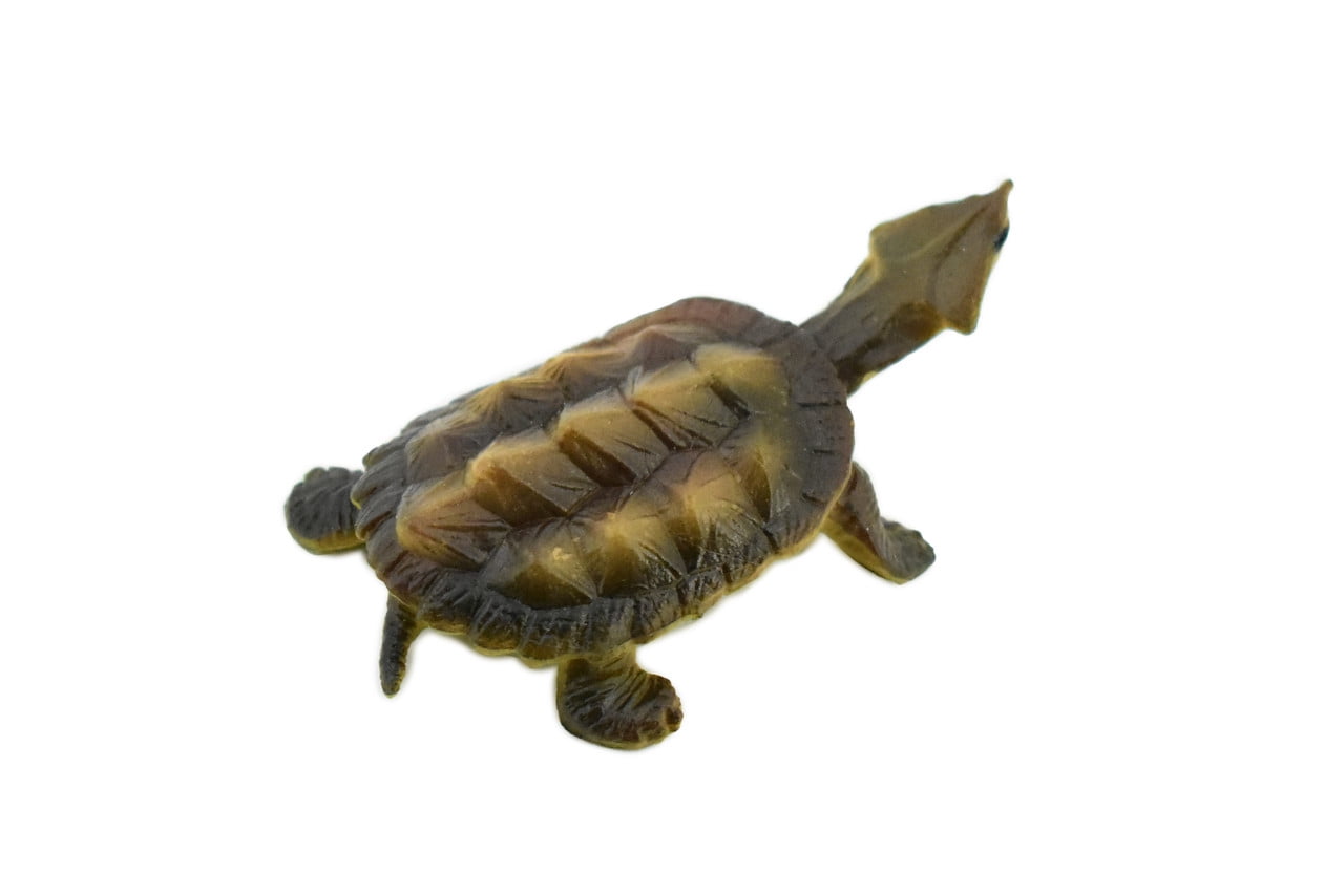 Mata Mata Mutant Turtle