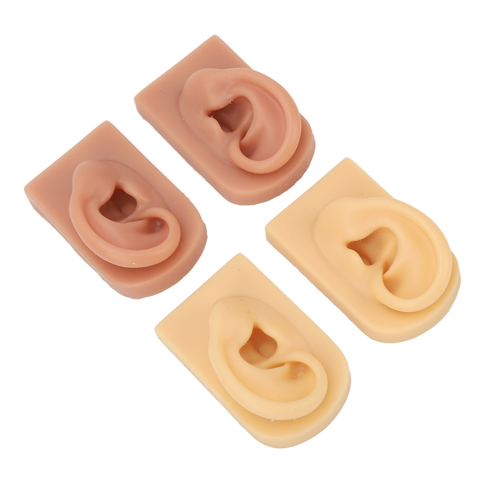 Modelo De Oreja De Silicona 3D, Exhibición De Práctica De Perforación Modelado De Oreja De ...