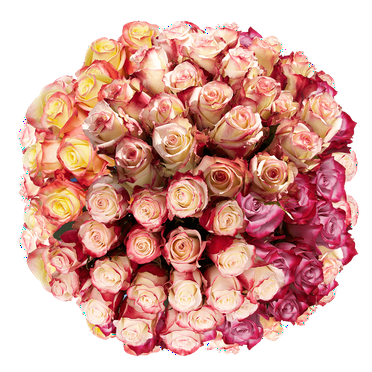 50 Stems of Roses: 25 Yellow and 25 Red- Beautiful Fresh Cut Flowers ...