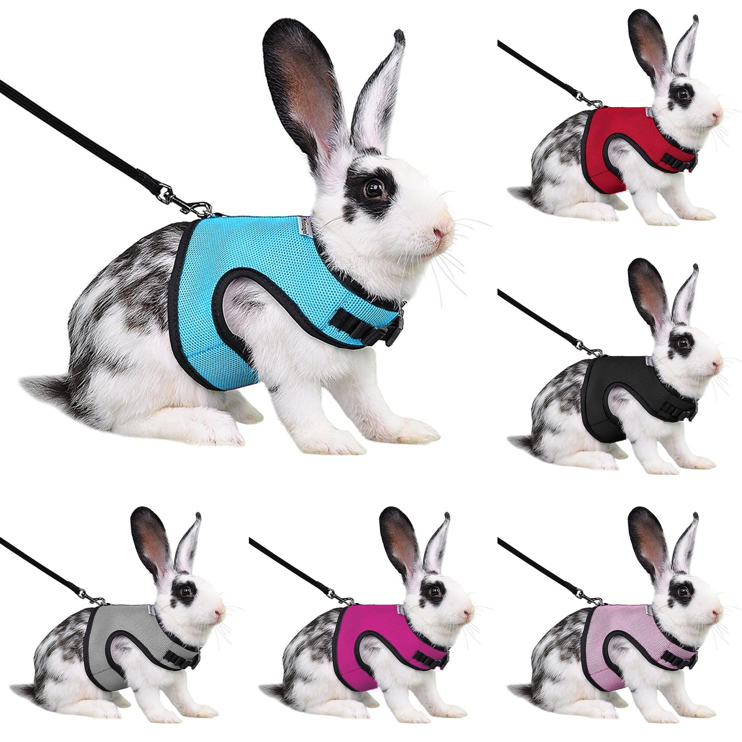 Walbest Guinea Pig Clothes Baby Ferret Rats Hamster Soft Mesh Harness ...