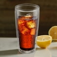Amazing Abby Alaska 24 Ounce Insulated Plastic Tumblers Set Of 4 Double Wall Plastic