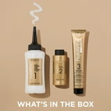 L'Oreal Paris Superior Preference Hair Color, LB02 Light Blonde, Fade ...