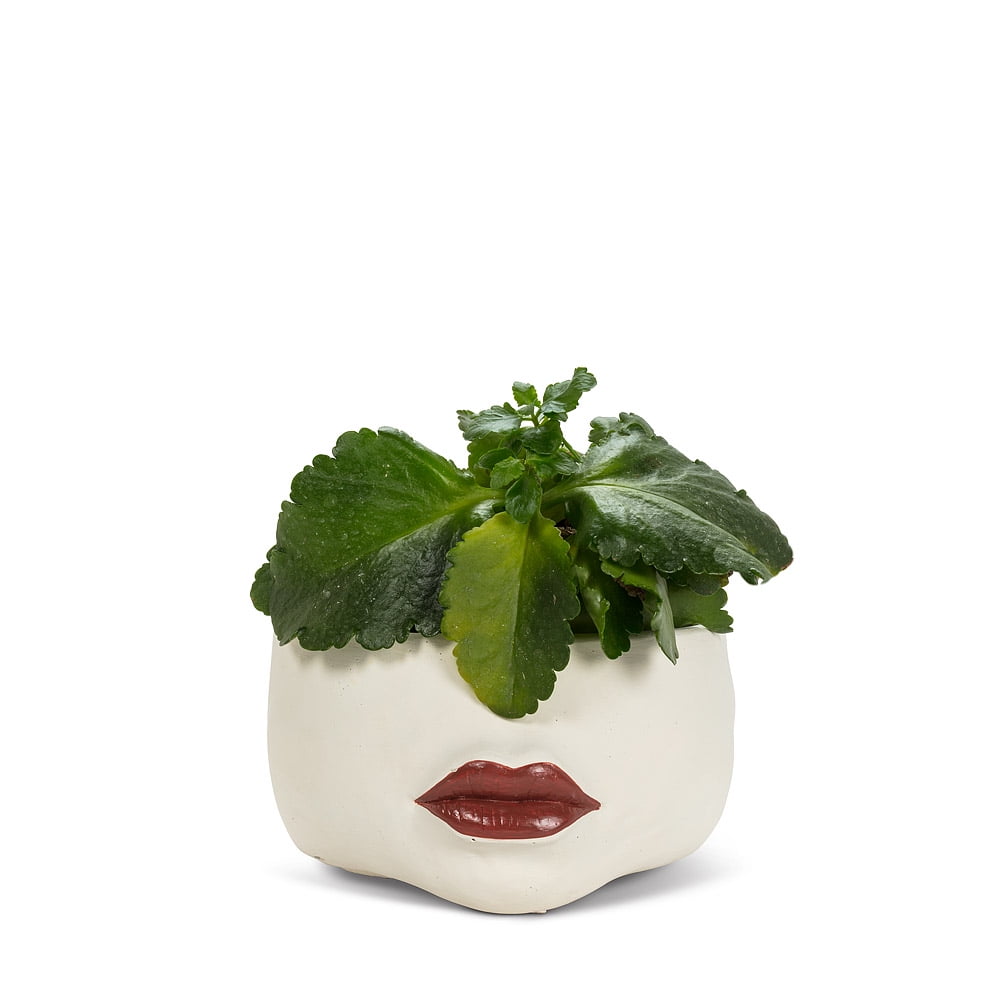 Set of 6 Low Red Lip Planter - Walmart.com