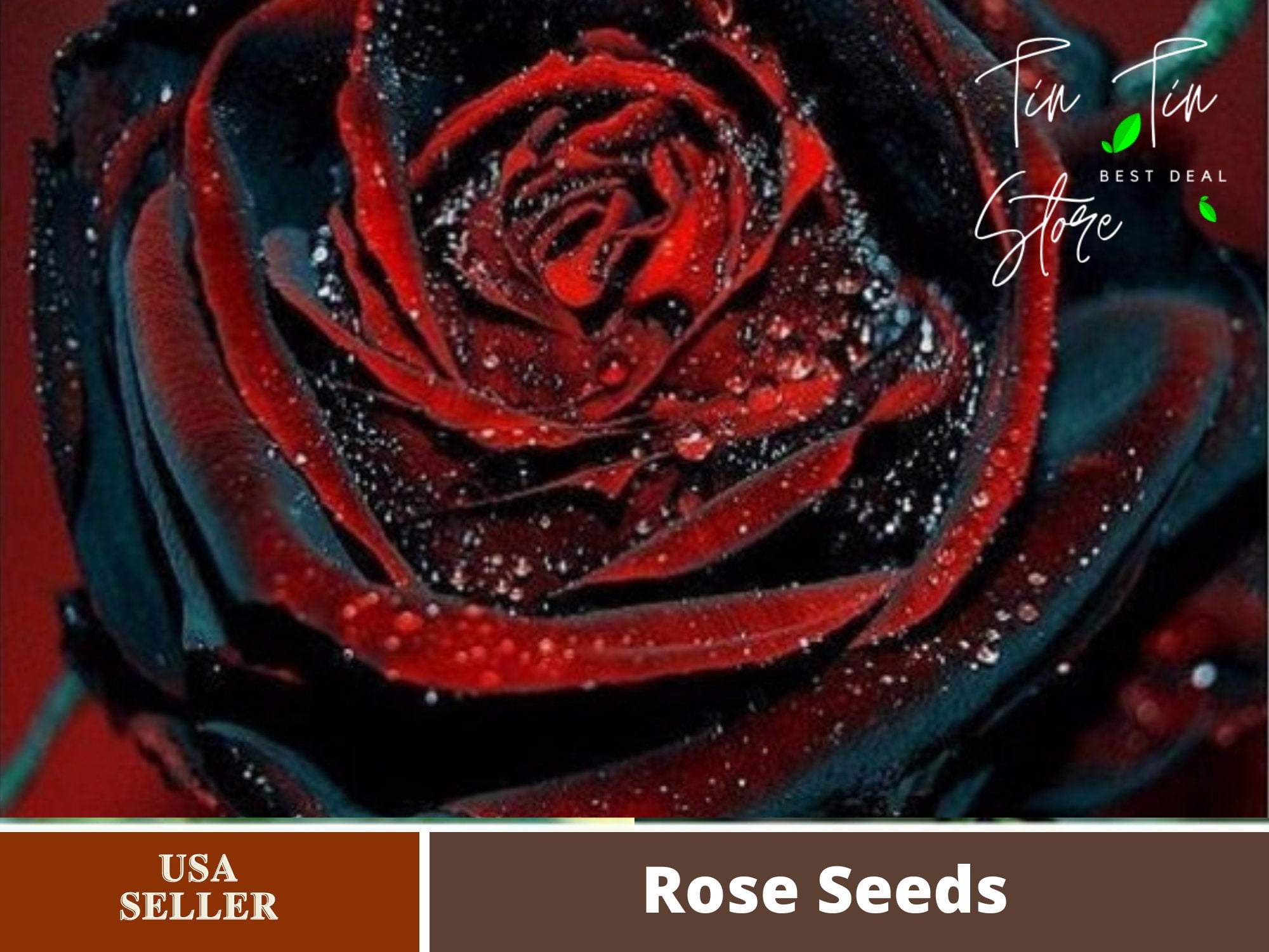 30 Rare Seed-True Rose Red Black #1078-Authentic Seeds-Flowers-Seeds ...