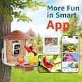® TUC Bird Feeder with Camera 2K HD, Solar Panel 32GB Card 4-in-1 Perch ...