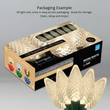 Wintergreen Lighting C9 Christmas LED String Lights, 17' (25 Count ...