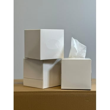 GEN Facial Tissue Cube Box, 2-Ply, White, 85 Sheets/Box, 85/Box, 36 ...
