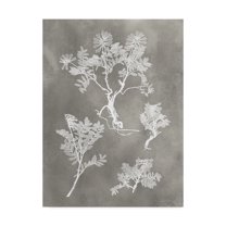 Herbarium Study II' Canvas Art by Vision Studio - Walmart.com