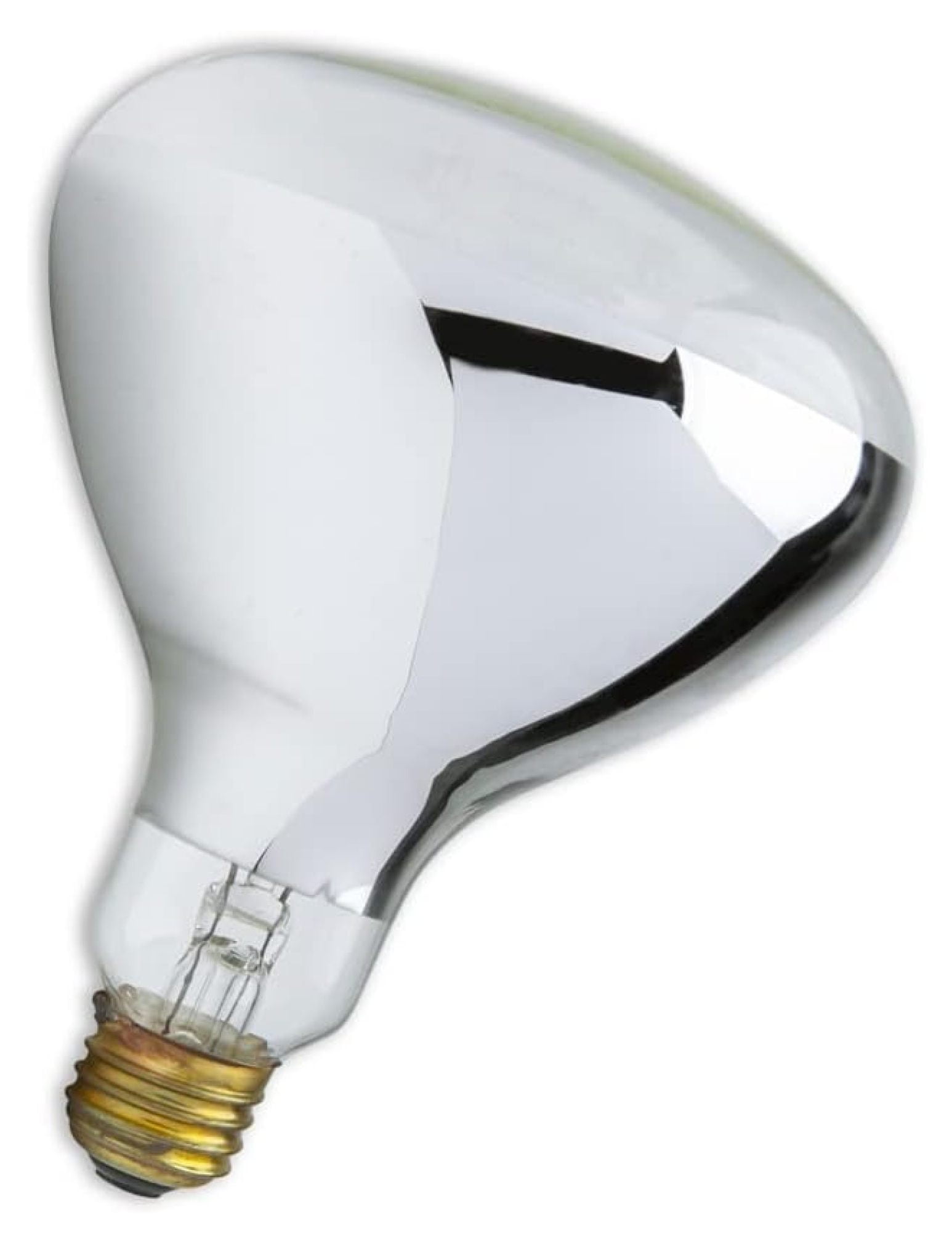 500w R40 Pool Light Bulb | Shelly Lighting