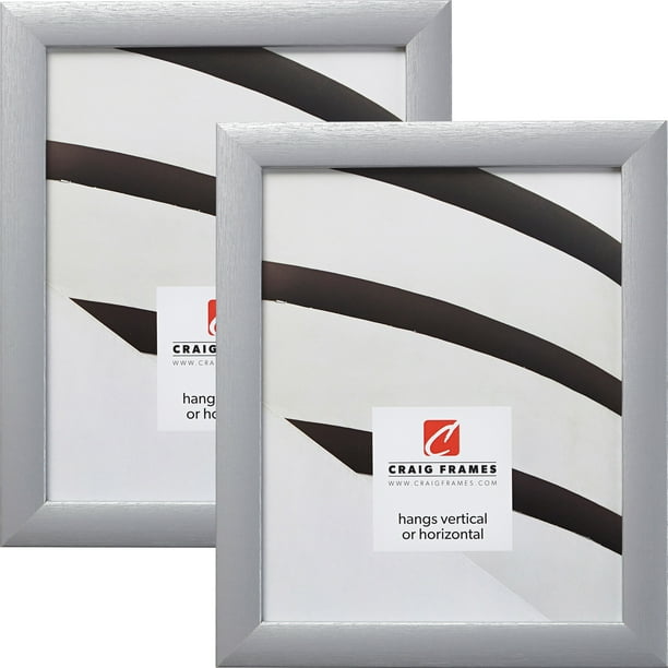 Craig Frames 23247018 24 x 32 Inch Picture Frame, Brushed Silver, Set ...