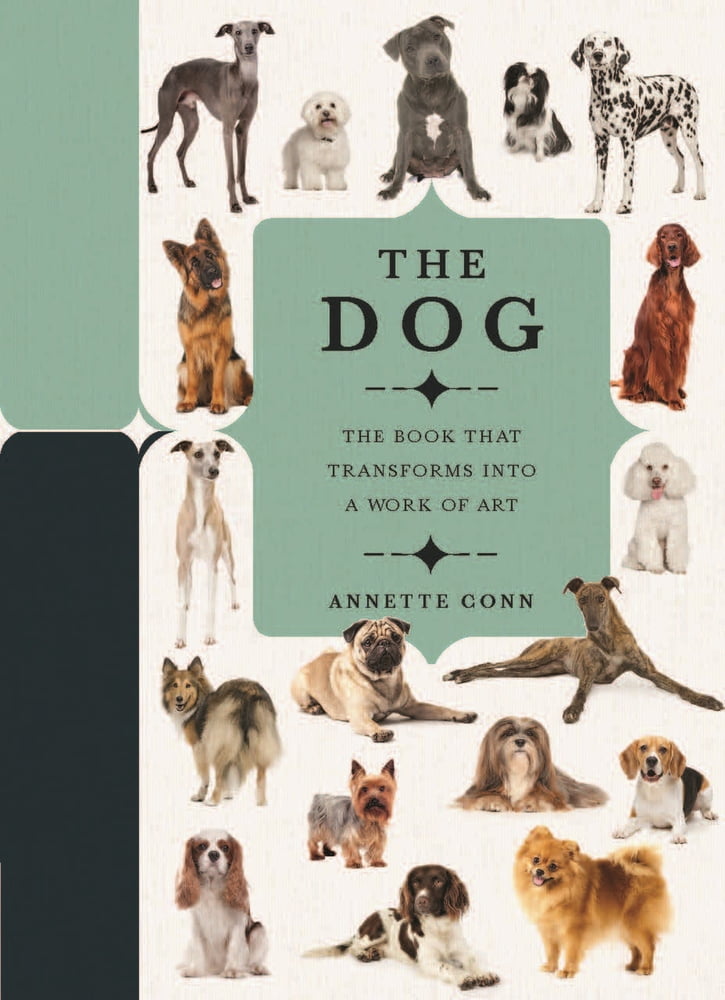 Pre-Owned Paperscapes: The Dog: A Book That Transforms Into a Work of ...