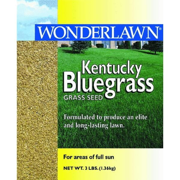 Kentucky Bluegrass Grass Seed