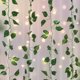 BrightSide LED Cascading Curtain Vine Indoor Lights, Warm White, 3.5ft ...
