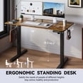 48"×24" Brown Electric Height Adjustable Desk, Ergonomic Sit Stand ...