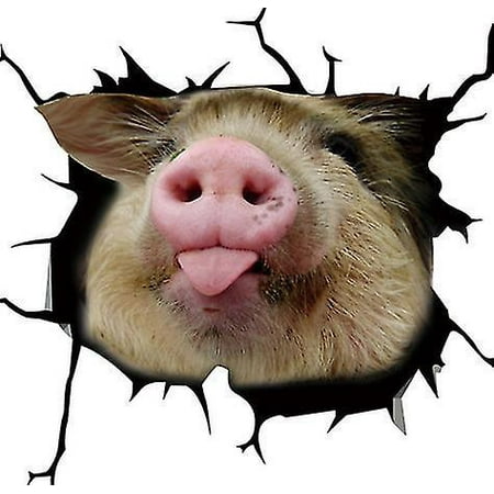 Funny Pig Cracked Car Sticker Car Window Meme Cattle Decal 12 X 12" Pvc ...