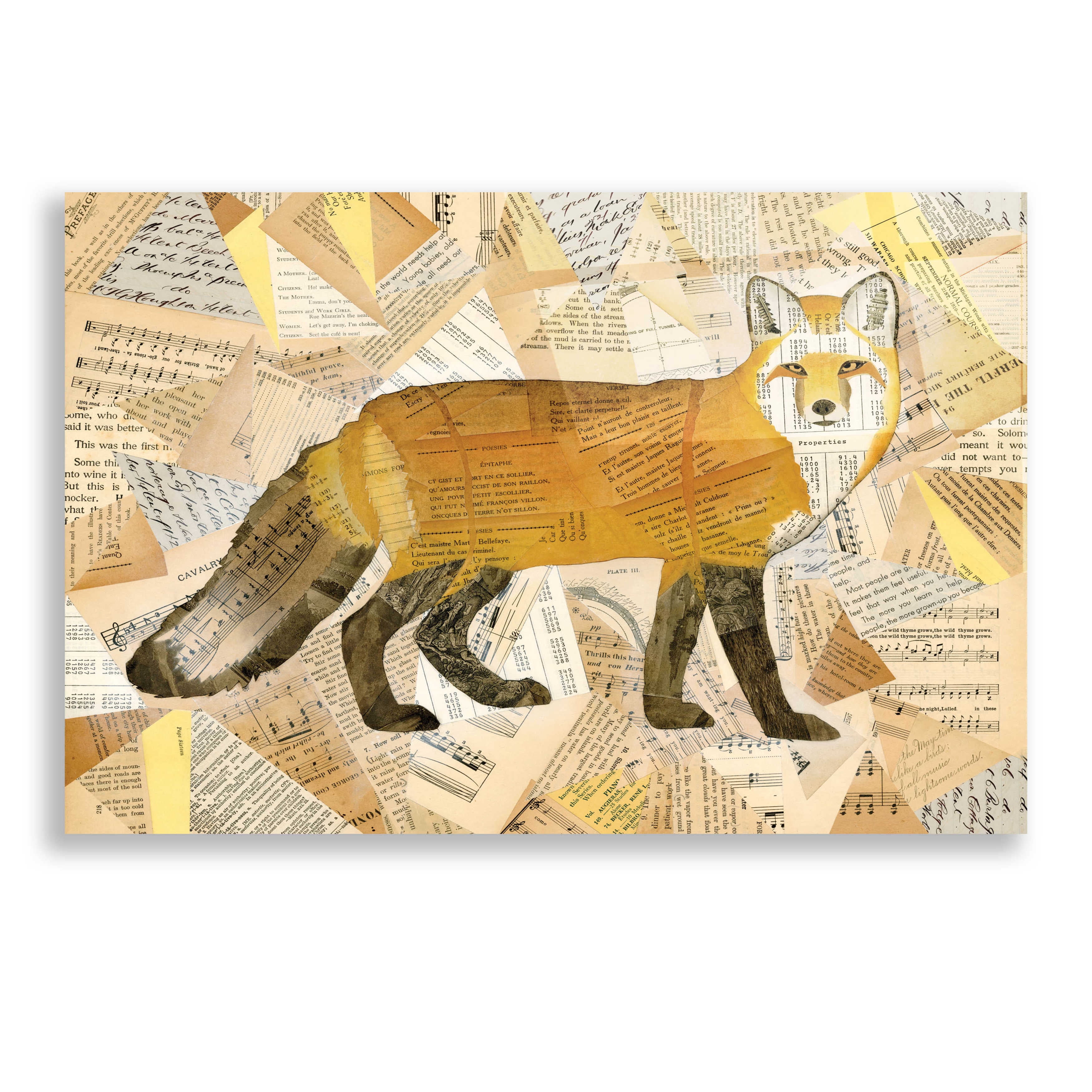 Epic Art 'Red Fox Collage I' by Nikki Galapon, Acrylic Glass Wall Art ...