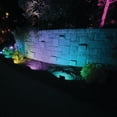 National Tree Company S4i Color Splasher Extender Kit, RGB LED Lamp (2 ...