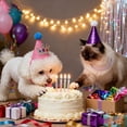6/14Pcs Adjustable Pet Costume Hat Breathable Birthday Party Hat For ...