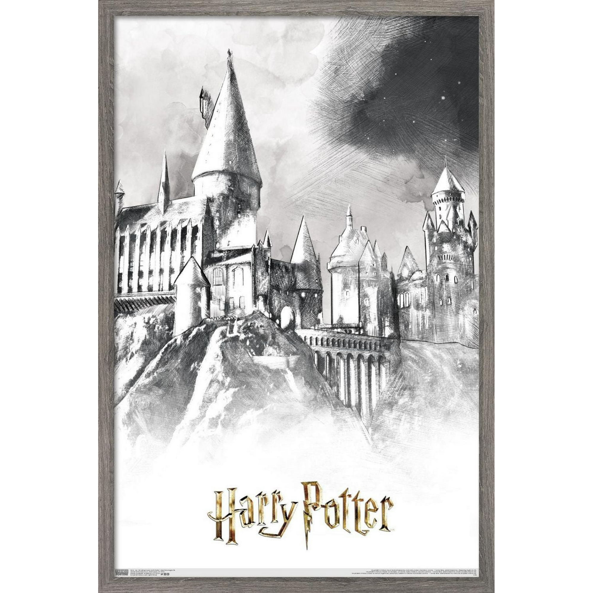 Click here for Trends International The Wizarding World: Harry Po... prices