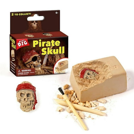 Pirate Skull Archeology Biology Digging And Excavation Kids Science ...