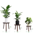 3-pack Wood Plant Stands Indoor Single Stand For 6-12 Inch Pots Mid ...
