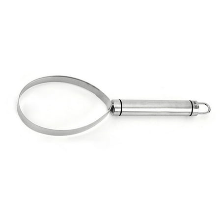 Goriertaly Fruit Pulp Separator Portable Stainless Steel Remover ...