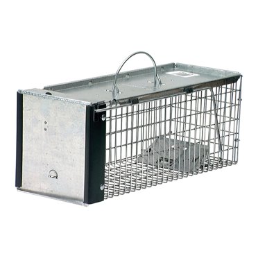 GopherHawk Single Trap for Gophers and Moles, 1 GH-TRP, 20" X 1.5 ...